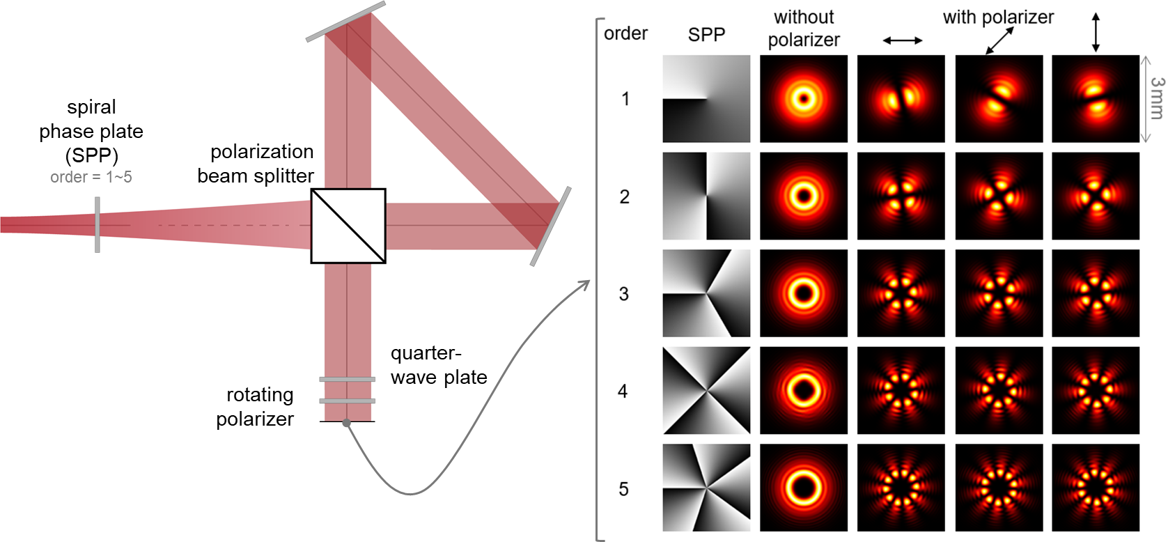 Generation of Vector Beam by a Sagnac-Like Interferometer